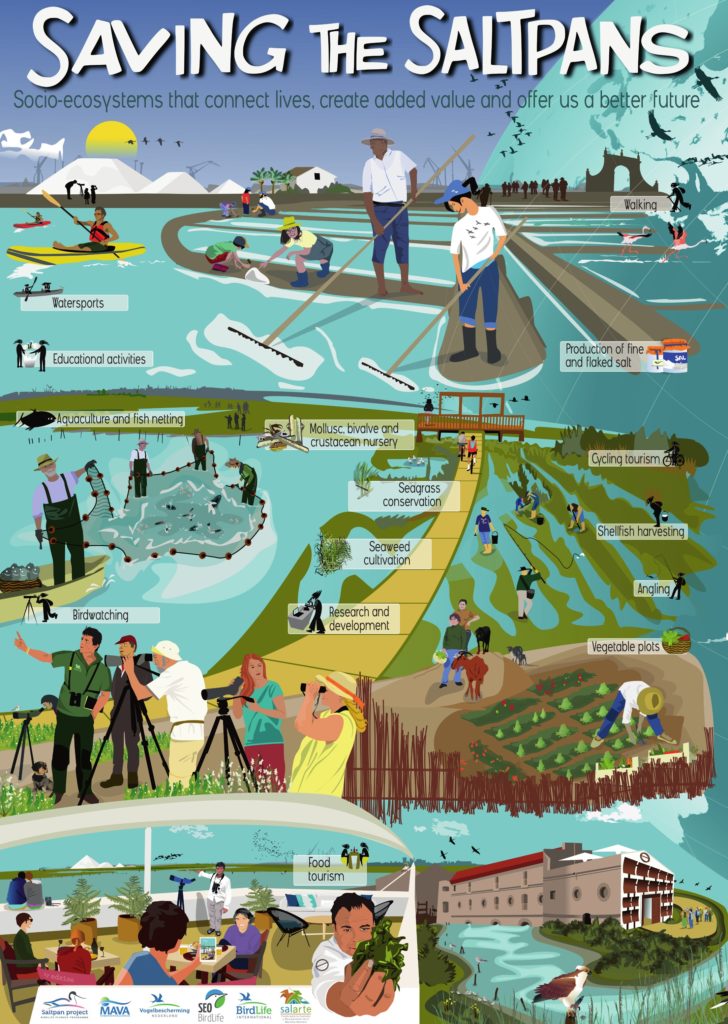 Current projects: Saltpan Initiative + MedArtSal – Salarte